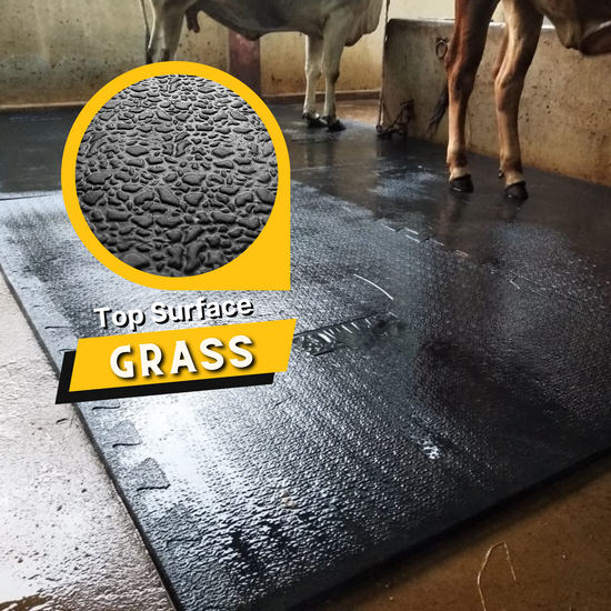 COW Mats for Dairy Cows (7ft x 4ft x 25 mm) – Polytag Shop